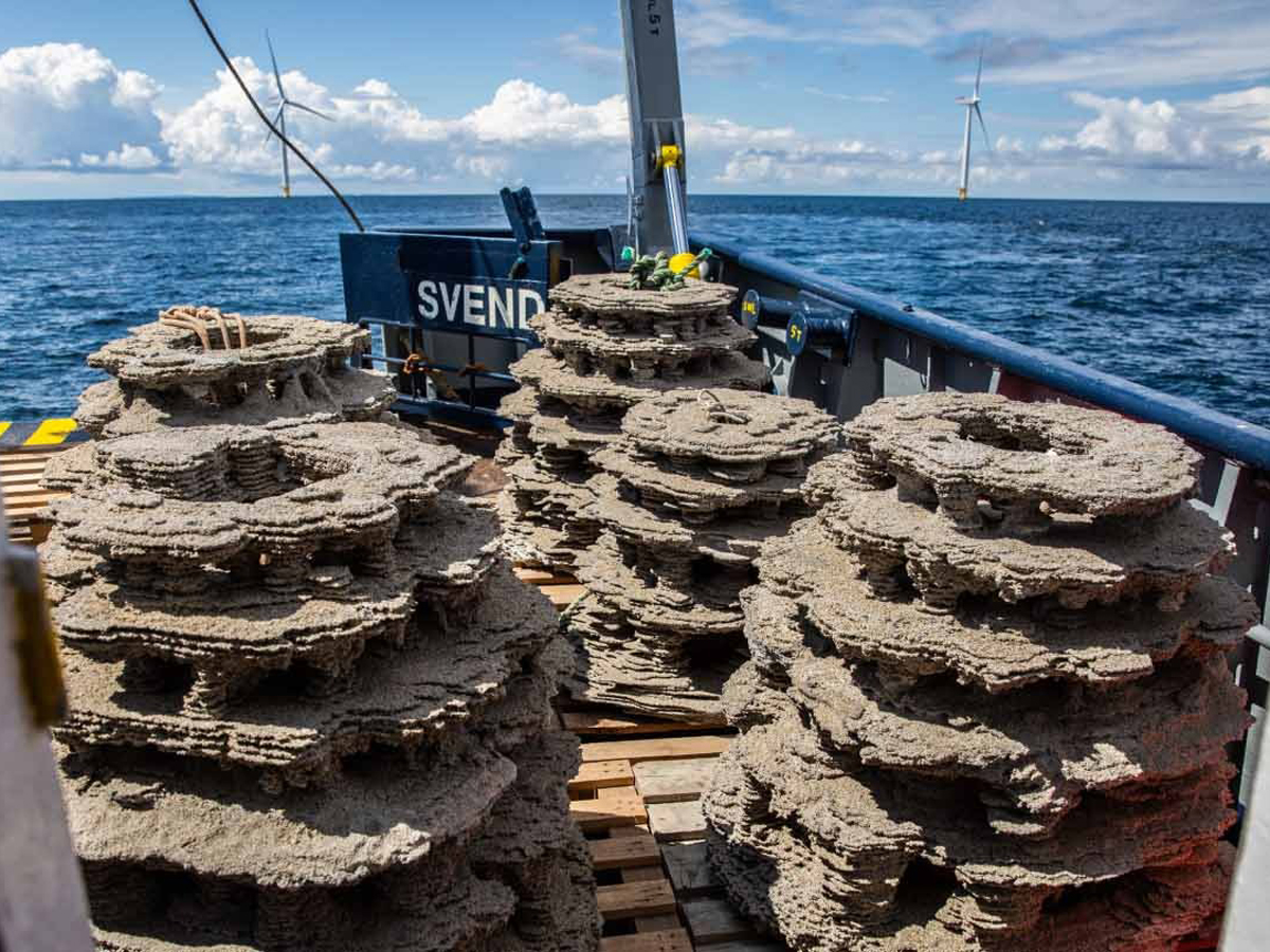 3D Printing Coral Reefs: Innovative Solutions for Sea Restoration