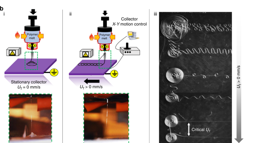 3D Bioprinted Cell-scale Structures to Accelerate Regenerative Medicine ...