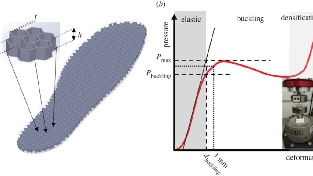 Affordable 3D Printed Insoles Prevent Deadly Diabetic Foot Ulcer Growth ...