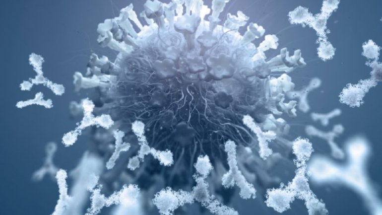 Prellis Biologics appoints new CEO and raises $35 million Bioprinting ...