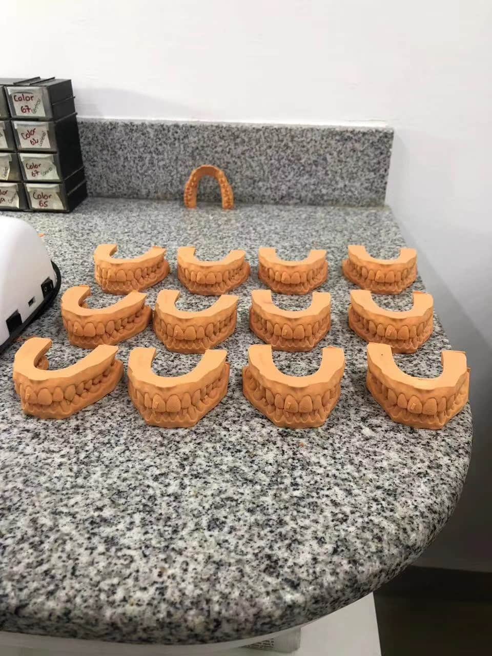 DLP 3D Printed Dental Teeth Model For Display - FacFox