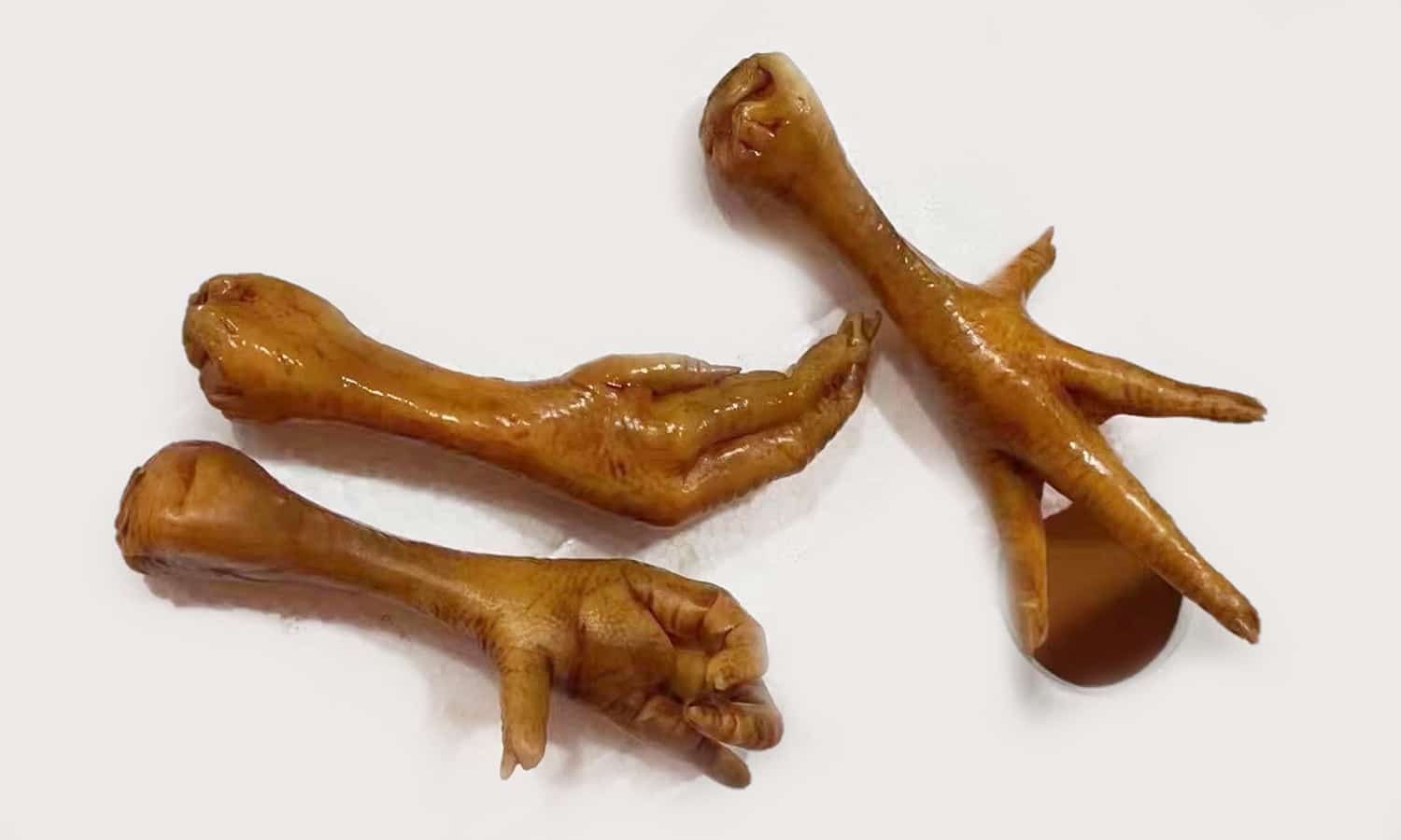 SLA 3D Printed Braised Chicken Feet Resin Fake Food Model - FacFox