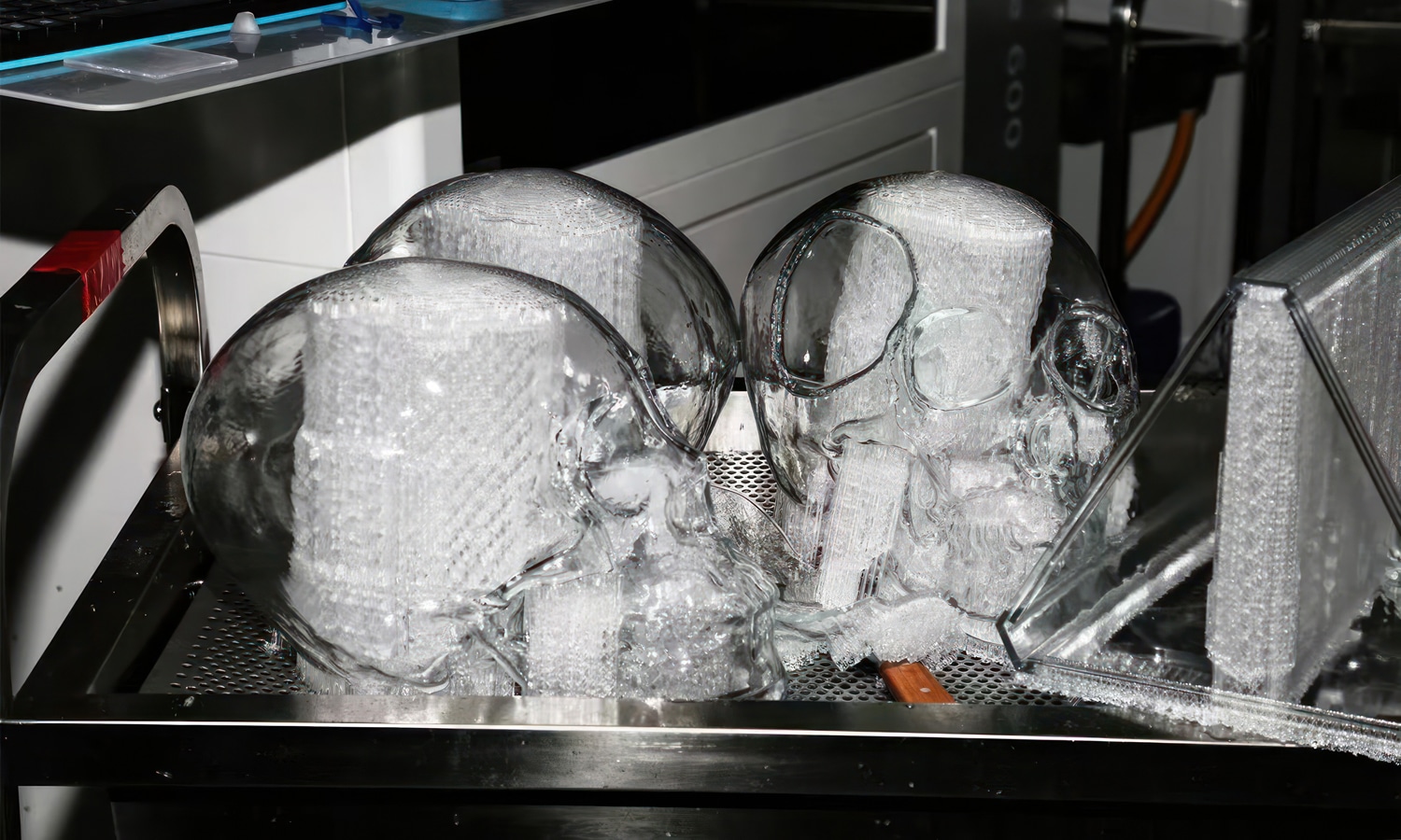 SLA 3D Printed Clear Resin Hollowed Human Skull Model - FacFox