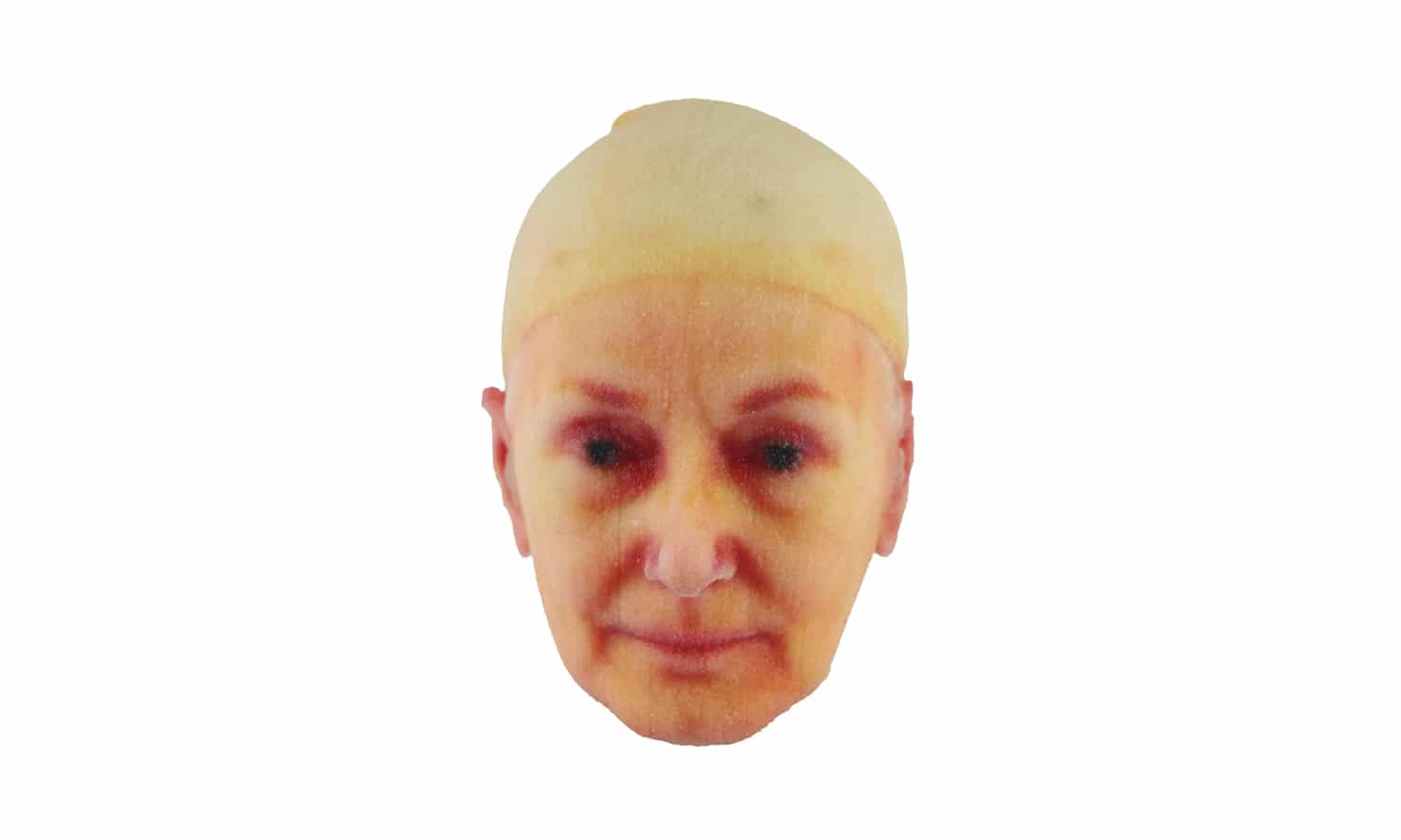 ColorJet 3D Printed Full-color Elder Woman Head Miniature - FacFox