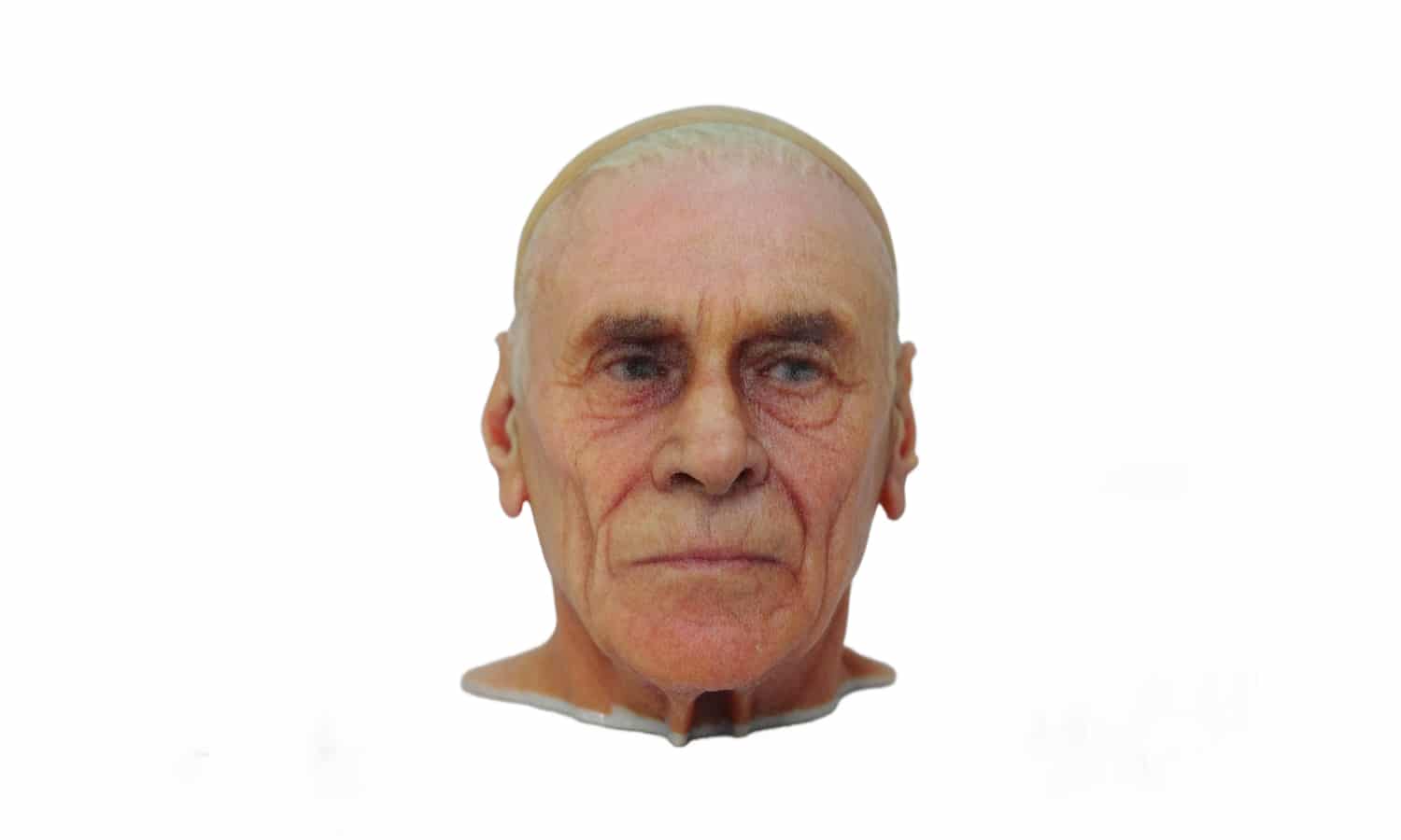 PolyJet 3D Printed Full-color Elder Man Head Miniature - FacFox