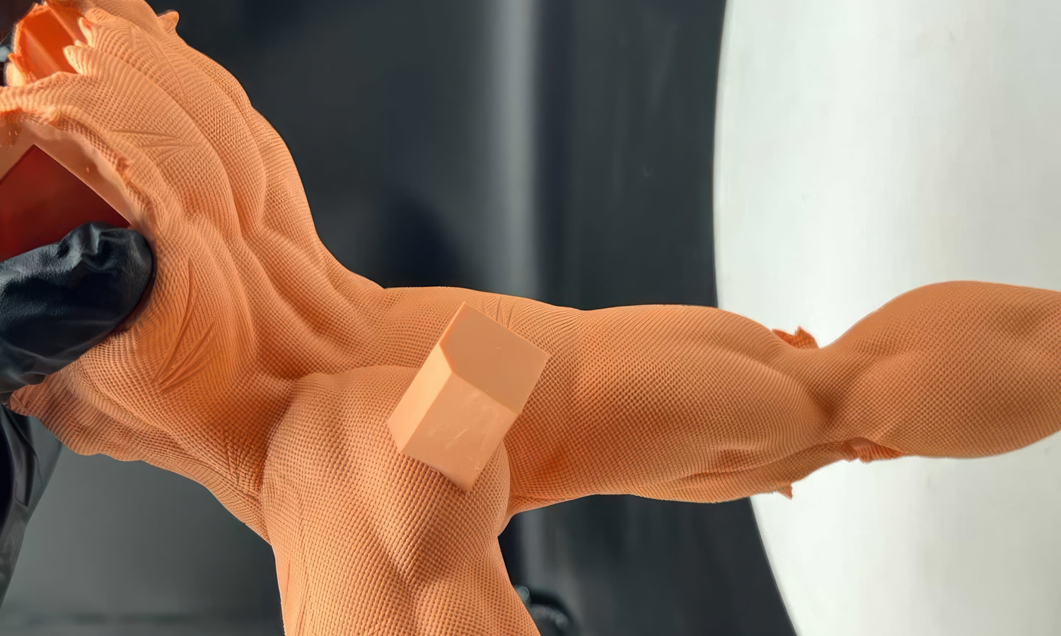 DLP Ultra Detail Resin Printing of Anime Figure Torso - FacFox