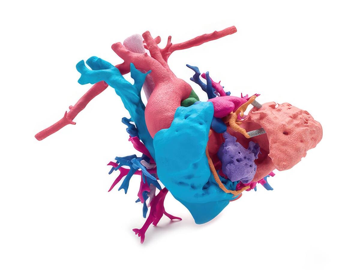 MJF Fullcolor Nylon - 3D Printing Materials - Manufacturing - FacFox